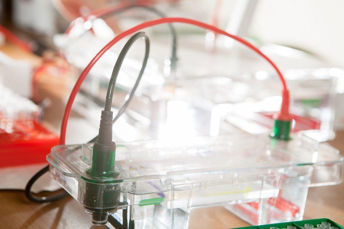 What Is An Electrochemical Cell Energy Theory What Is An Electrochemical Cell Energy Theory