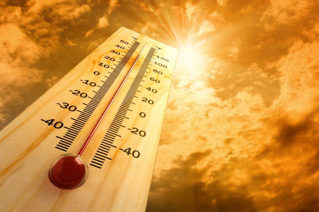 Understanding the Specifications of Solar Panels and How to Read Them ...