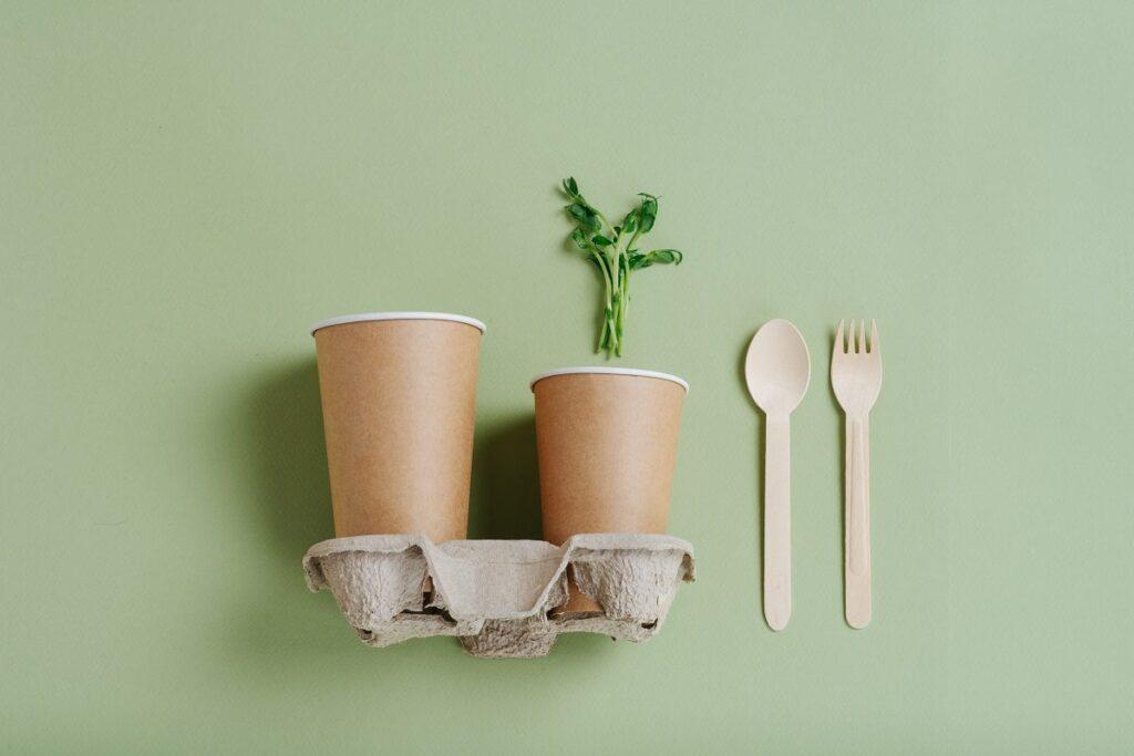 What are Eco-Friendly Products? - Energy Theory