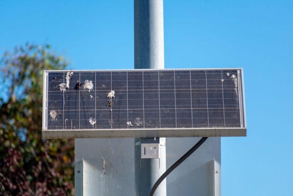 Solar Panels Not Reducing Bill: Common Issues and Solutions - Energy Theory