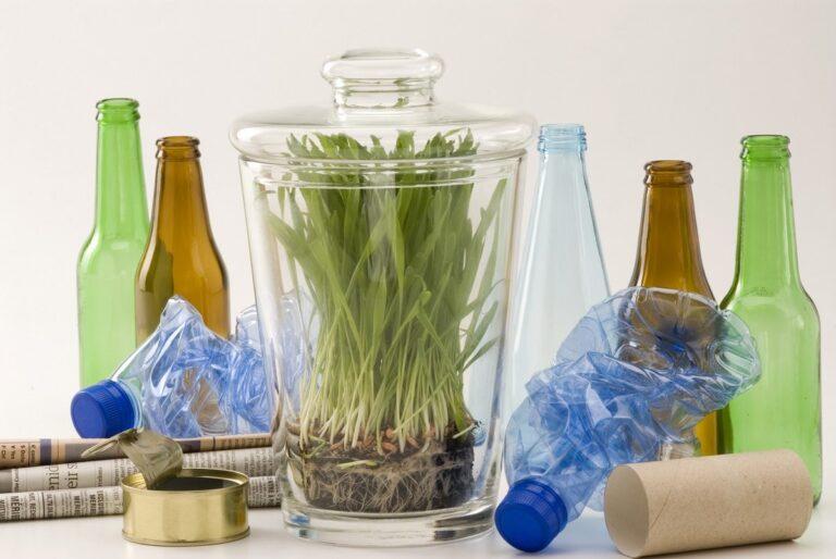 26 Eco Friendly Lifestyle Practices for Day-to-Day Life - Energy Theory