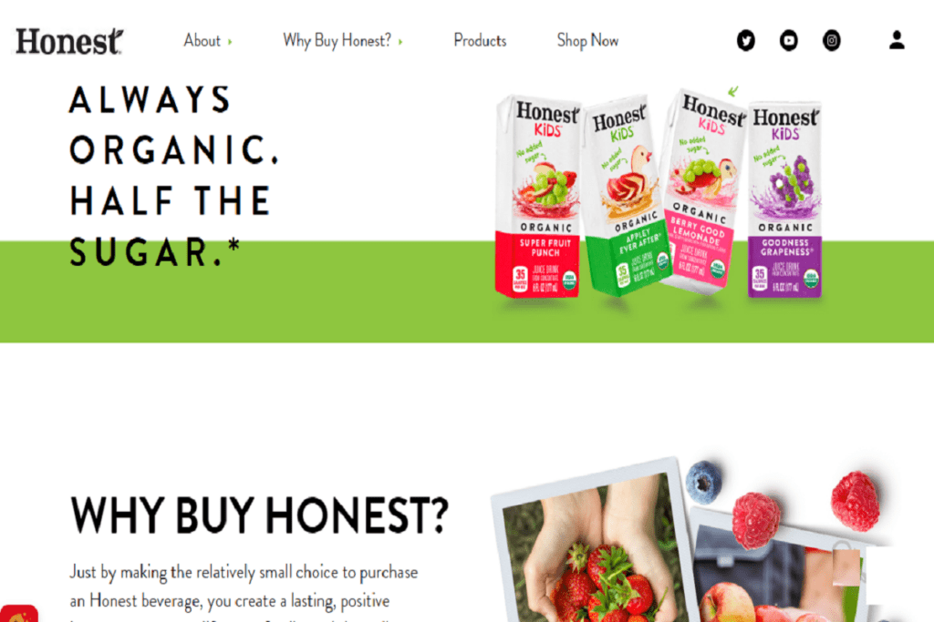 40 Sustainable Packaging Manufacturers - Energy Theory