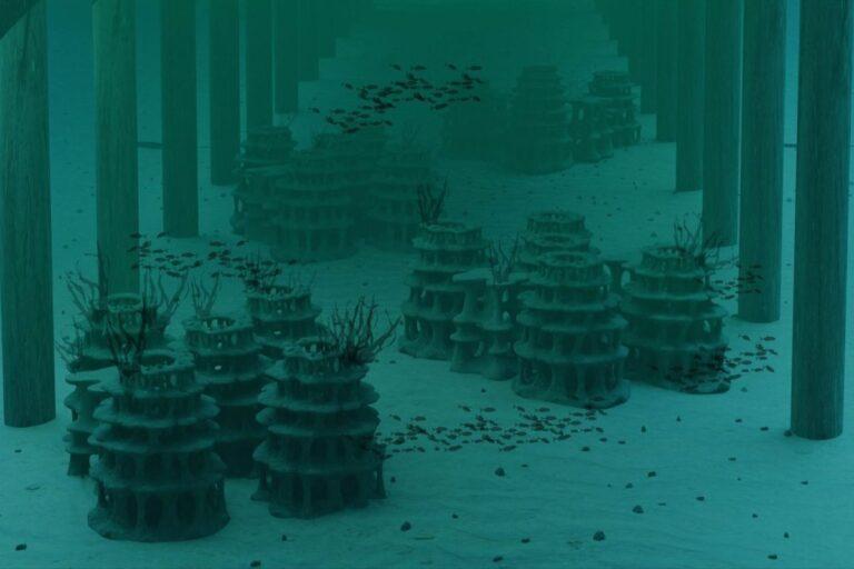 Reef Design Lab's Eco-Conscious Concrete Shells Safeguards Marine ...