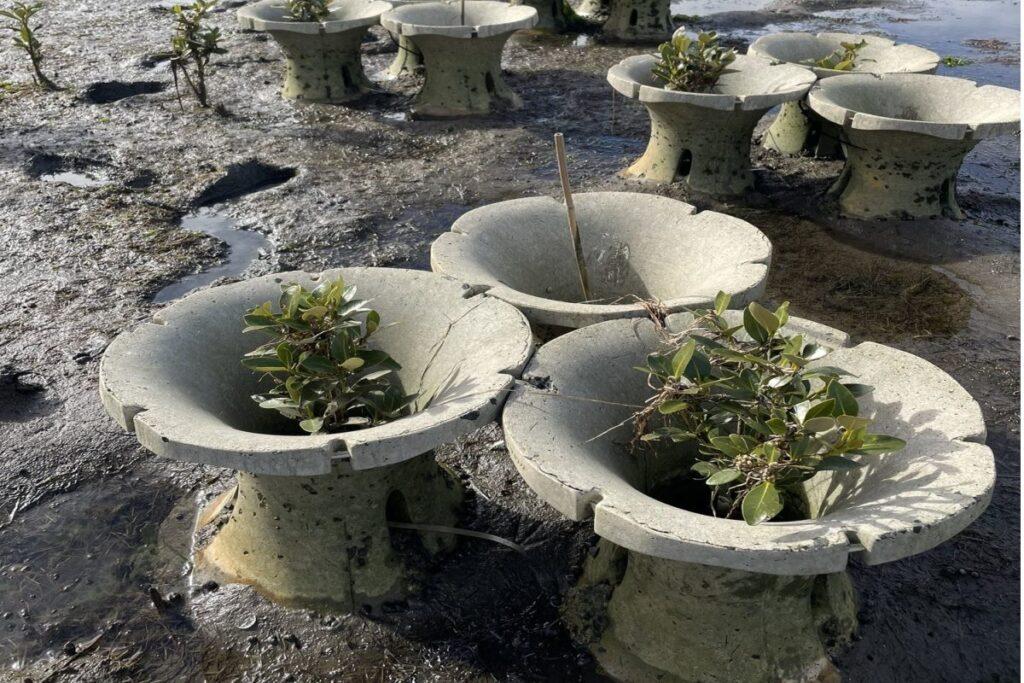 Reef Design Lab's Eco-Conscious Concrete Shells Safeguards Marine ...
