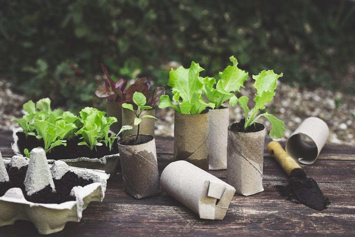 10+ Sustainable Eco-Friendly Toilet Paper Alternatives - Energy Theory