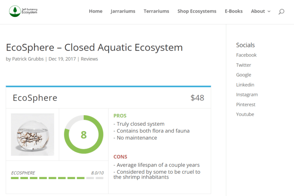 20+ Eco-Friendly Inventions for the Future That Could Save the Planet ...