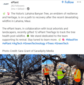 ePlant brings TreeTags for Innovative Plant Care - Energy Theory