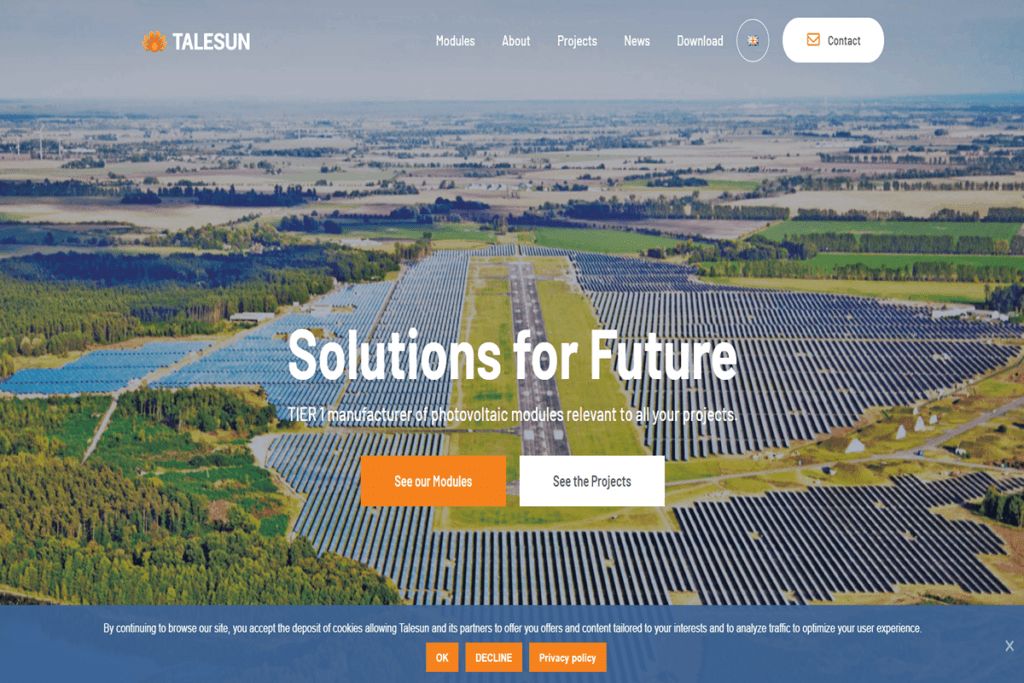 Top 20 Solar Panel Manufacturers in the World - Energy Theory