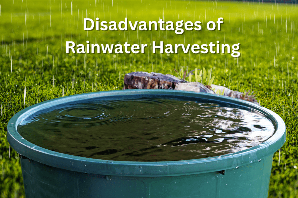 5 Disadvanes Of Rainwater Harvesting Methods In Nigeria Infoupdate 5 Disadvanes Of Rainwater Harvesting Methods In Nigeria Infoupdate
