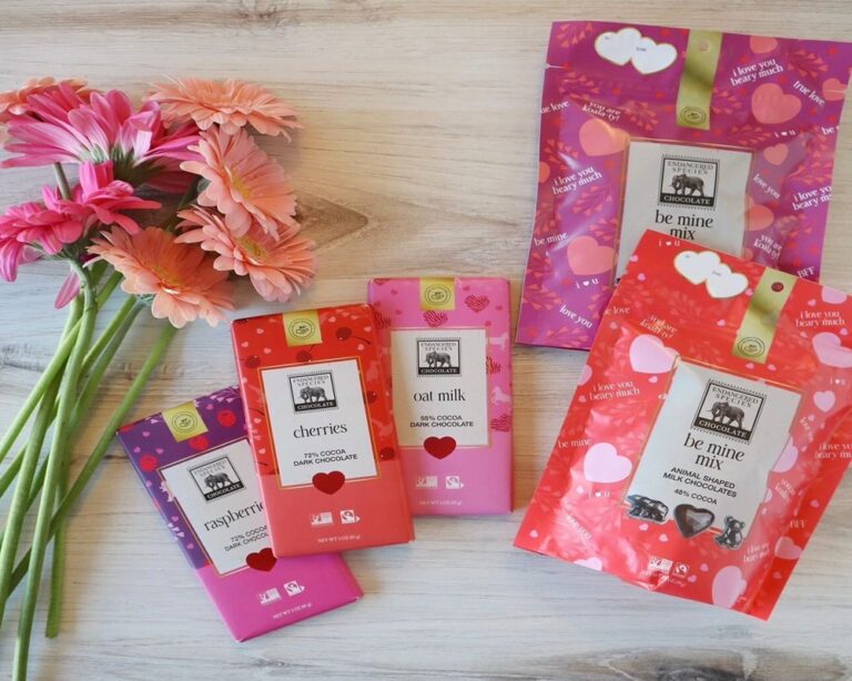 21 Best Sustainable and Ethical Chocolate Brands - Energy Theory