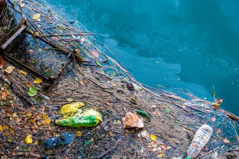 Causes and Effects of Water Pollution - Energy Theory