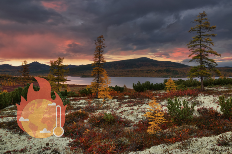 Open-top Chambers Stimulating Effects of Climate Warming on Tundra ...