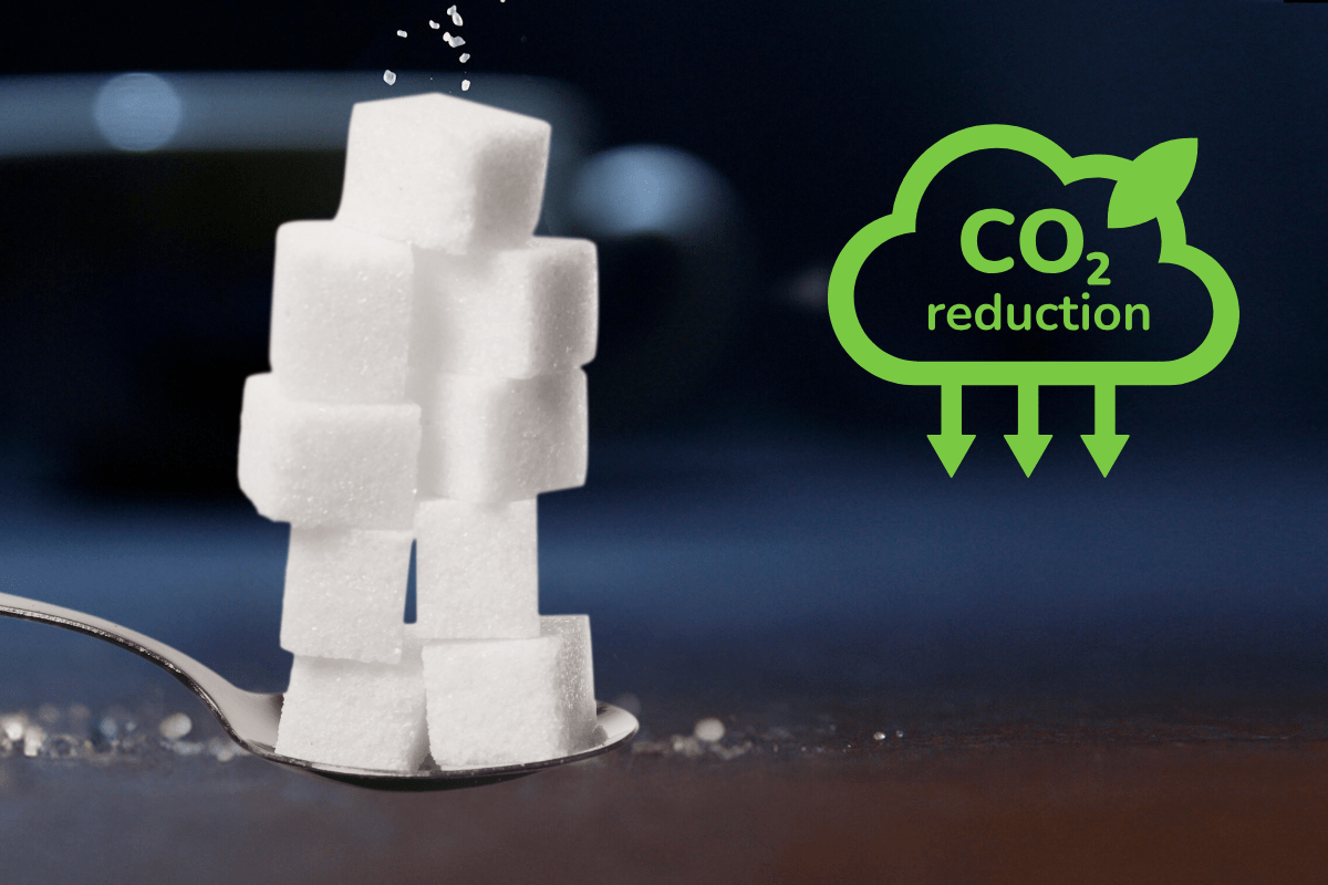 Cost-Effective Sugar-based Catalysts Can Effectively Destroy Carbon ...