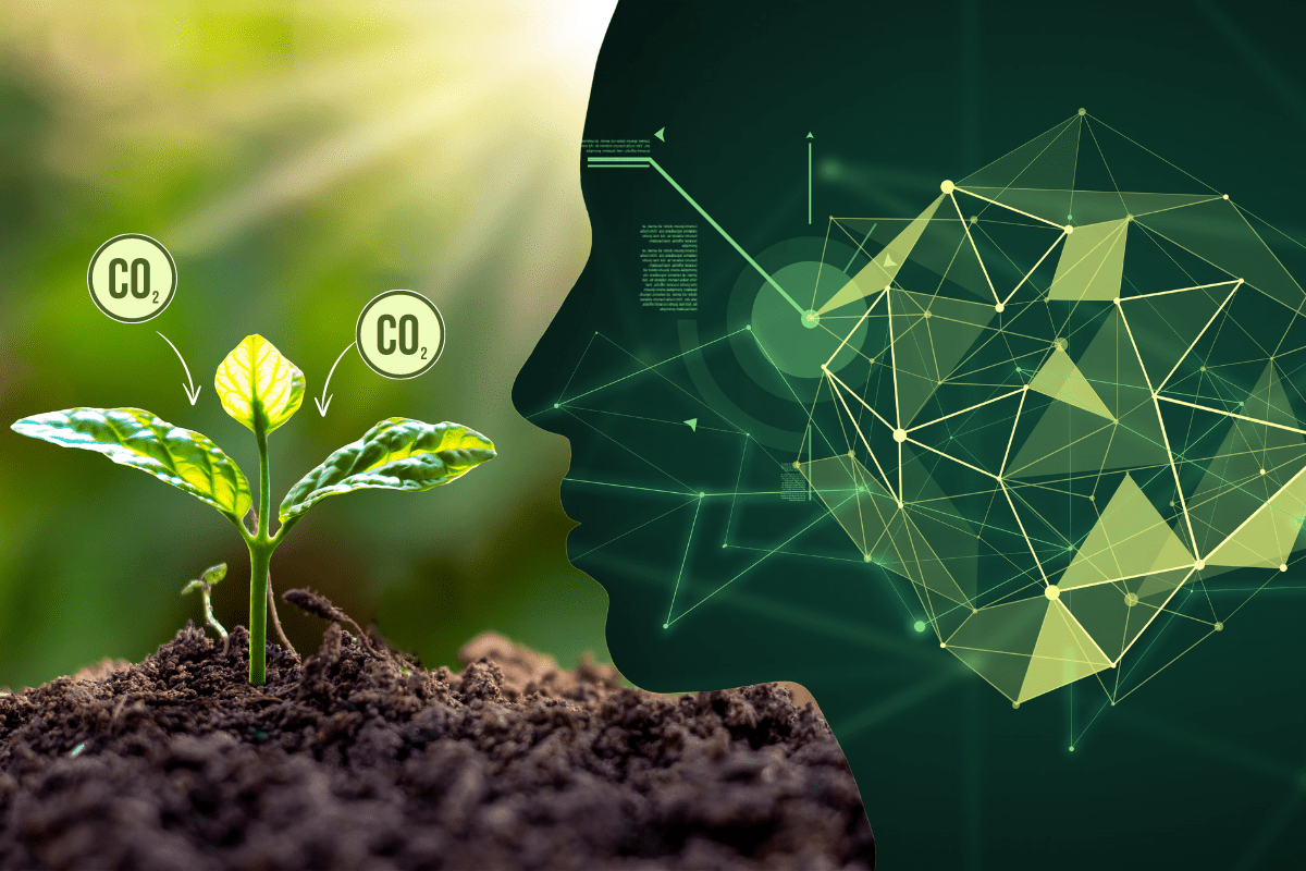 Scientists at SALK Developed Carbon Capturing Plants with AI to Fight ...